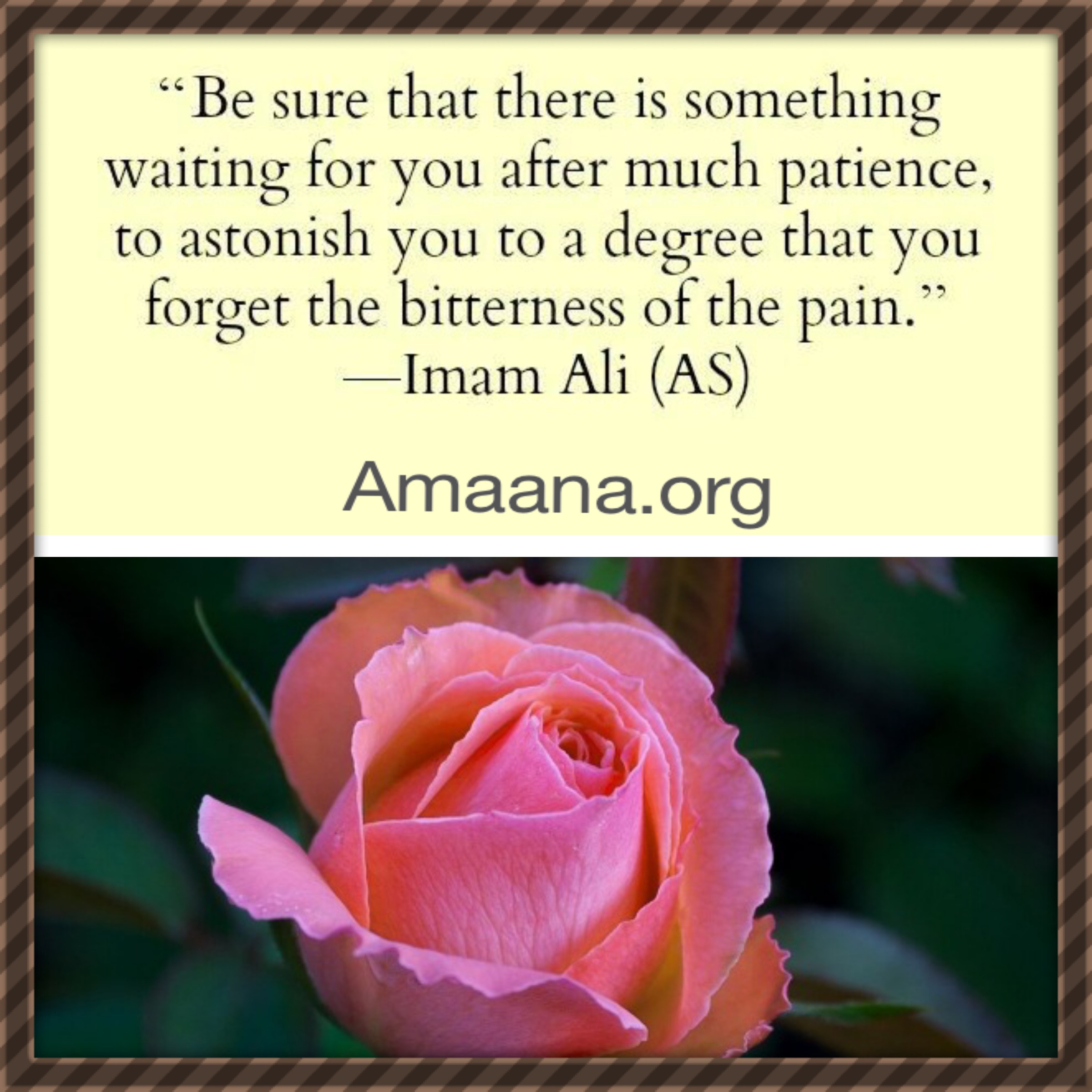 4F54B89F-13B4-4980-AF5C-EEFBEAB39389 – Ismaili Web Amaana
